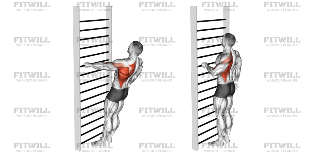 Bodyweight Standing One Arm Row: Exercise Guide, Techniques, Benefits ...