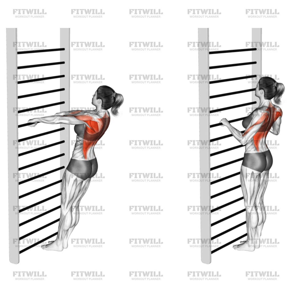 Bodyweight Standing Row: Exercise Guide, Techniques, Benefits, How to ...