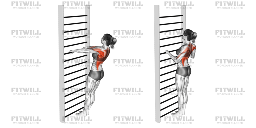 Bodyweight Standing Row: Exercise Guide, Techniques, Benefits, How to ...