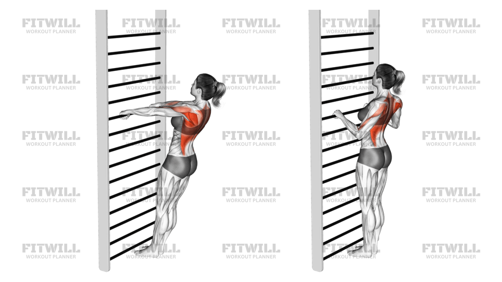 How to do Bodyweight Standing Row (female): Techniques, Benefits, Tips ...