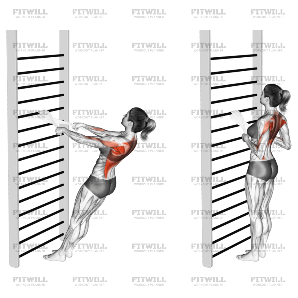Bodyweight Standing Row (with Towel): Exercise Guide, Techniques ...