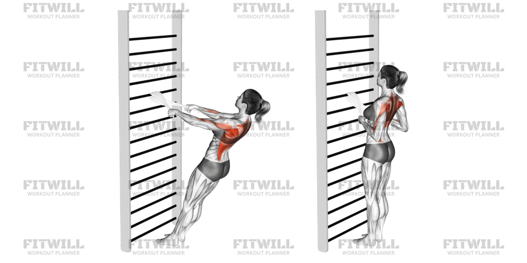 Bodyweight Standing Row (with Towel): Exercise Guide, Techniques ...