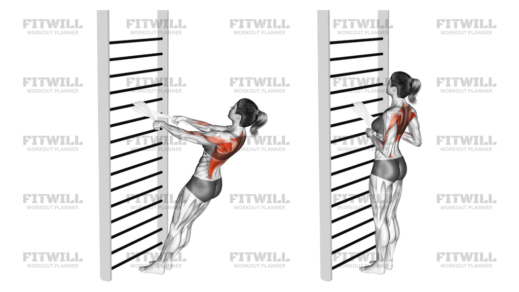 Bodyweight Standing Row (with Towel): Exercise Guide, Techniques ...