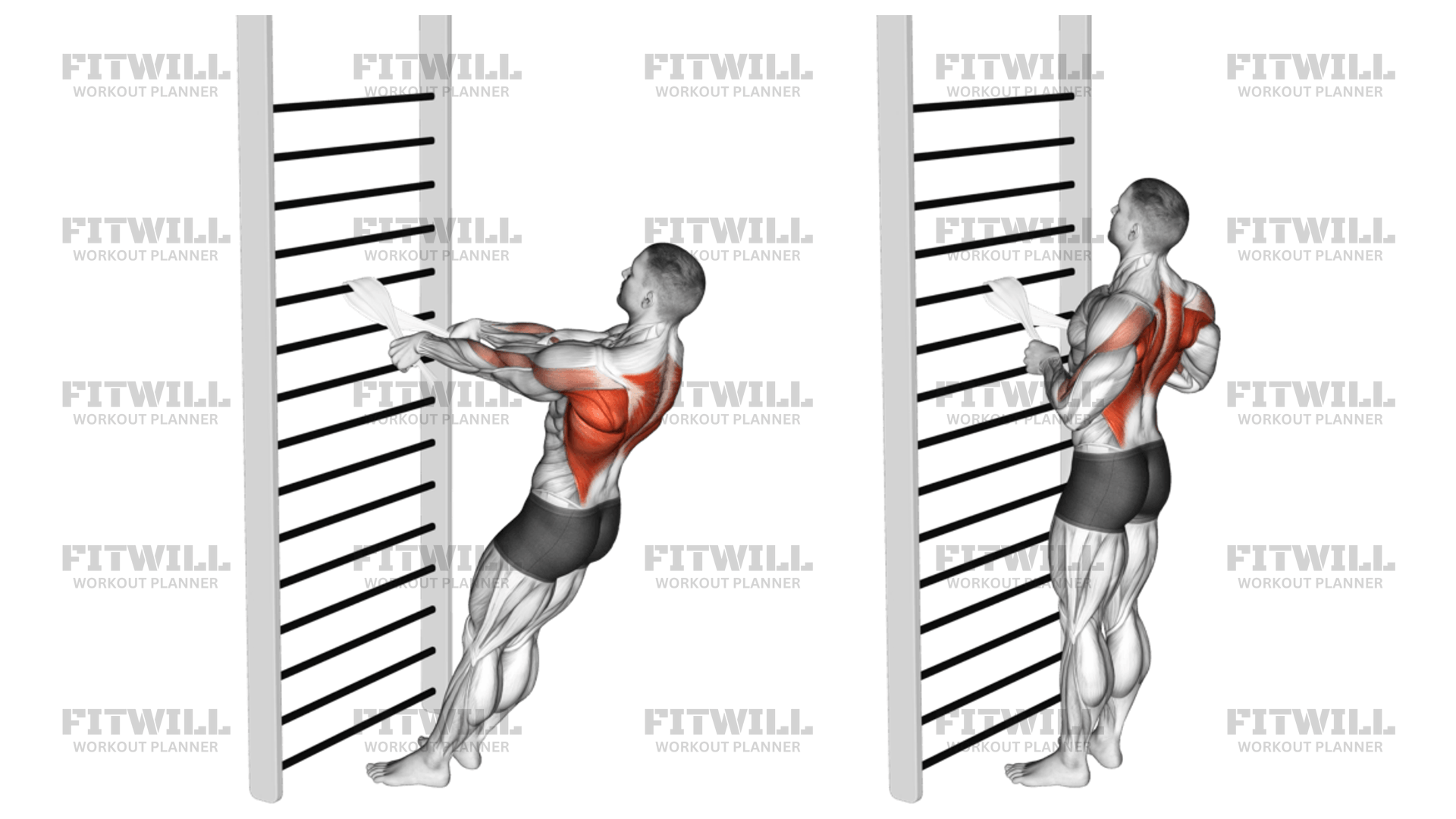 Bodyweight Standing Row (with towel): Guide, Techniques, Benefits, How ...
