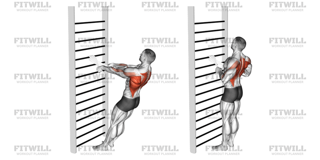 Bodyweight Standing Row (with towel): Guide, Techniques, Benefits, How ...