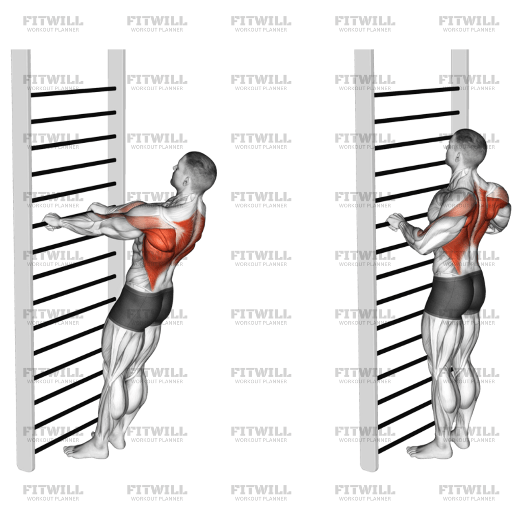 Bodyweight Standing Row: Exercise Guide, Techniques, Benefits, How to ...