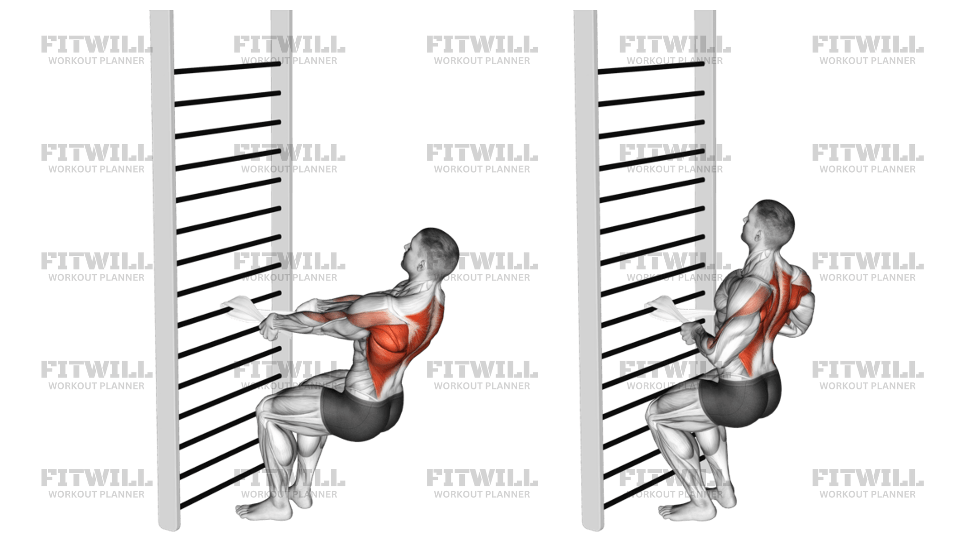 Bodyweight Squatting Row (with Towel): Exercise Guide, Techniques ...