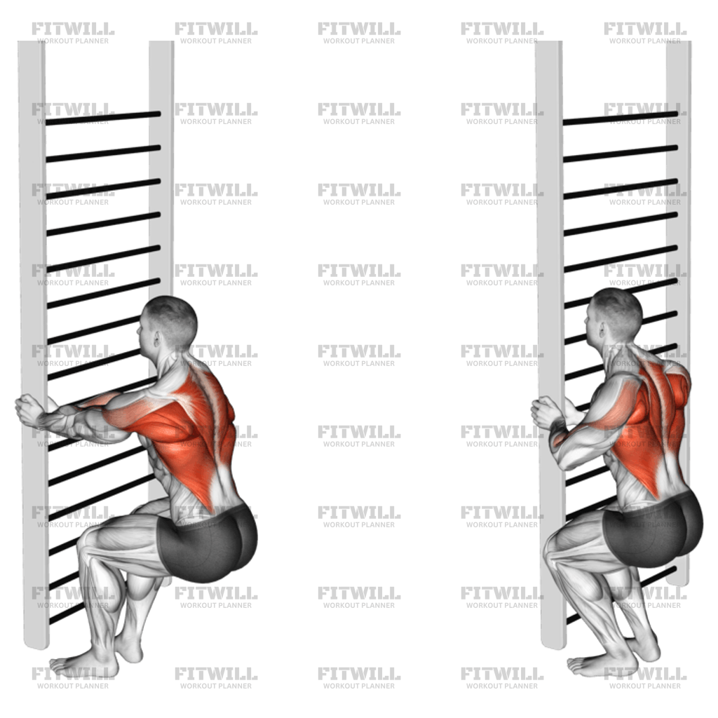 Bodyweight Squatting Row: Exercise Guide, Techniques, Benefits, How to ...