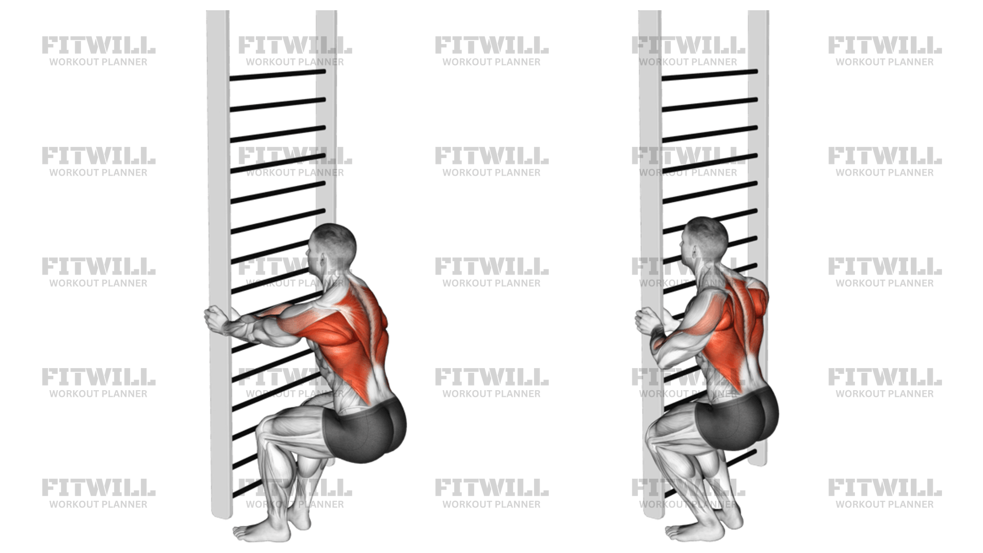 Bodyweight Squatting Row: Exercise Guide, Techniques, Benefits, How to ...