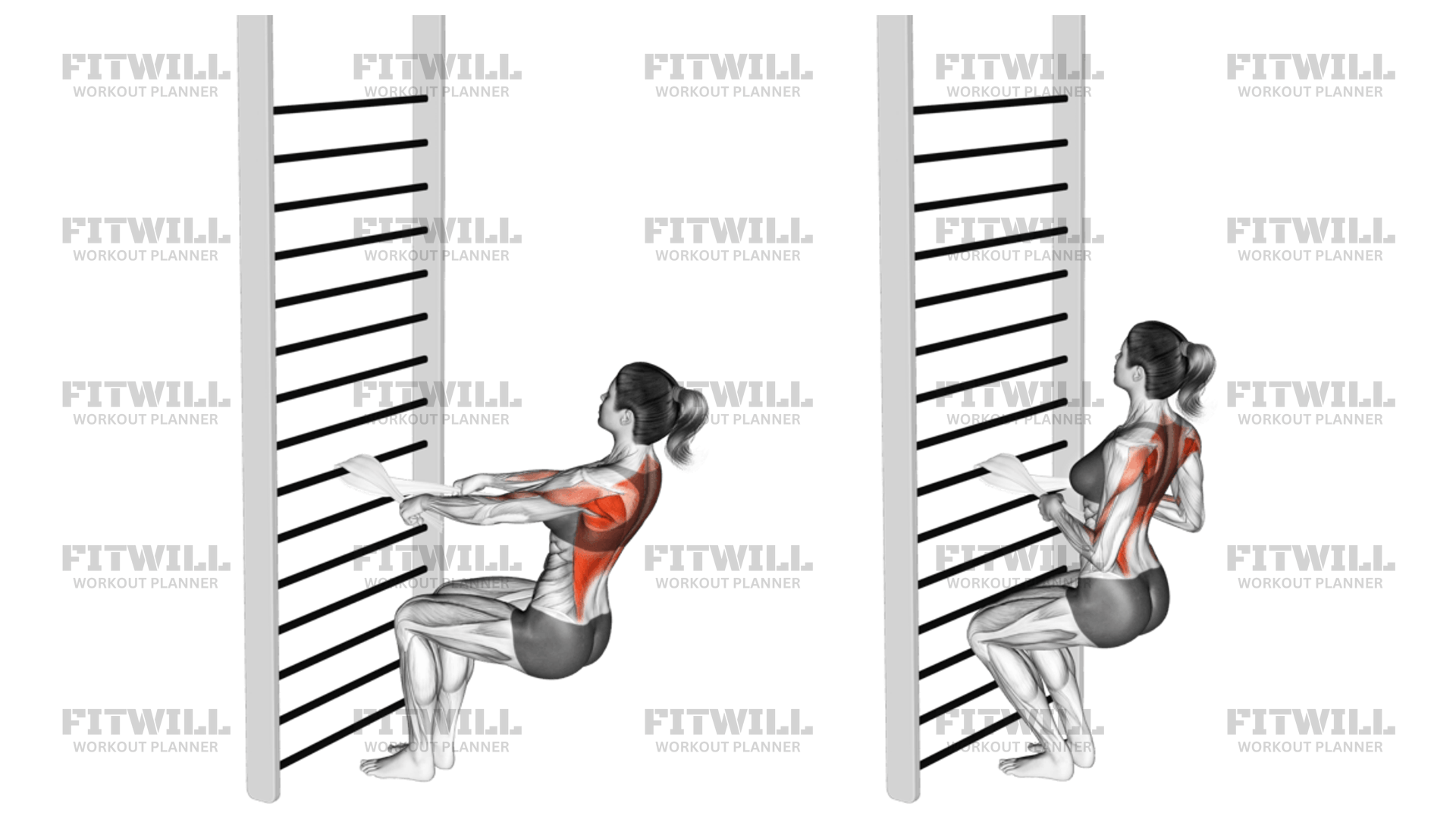Bodyweight Squatting Row (with Towel): Exercise Guide, Techniques ...