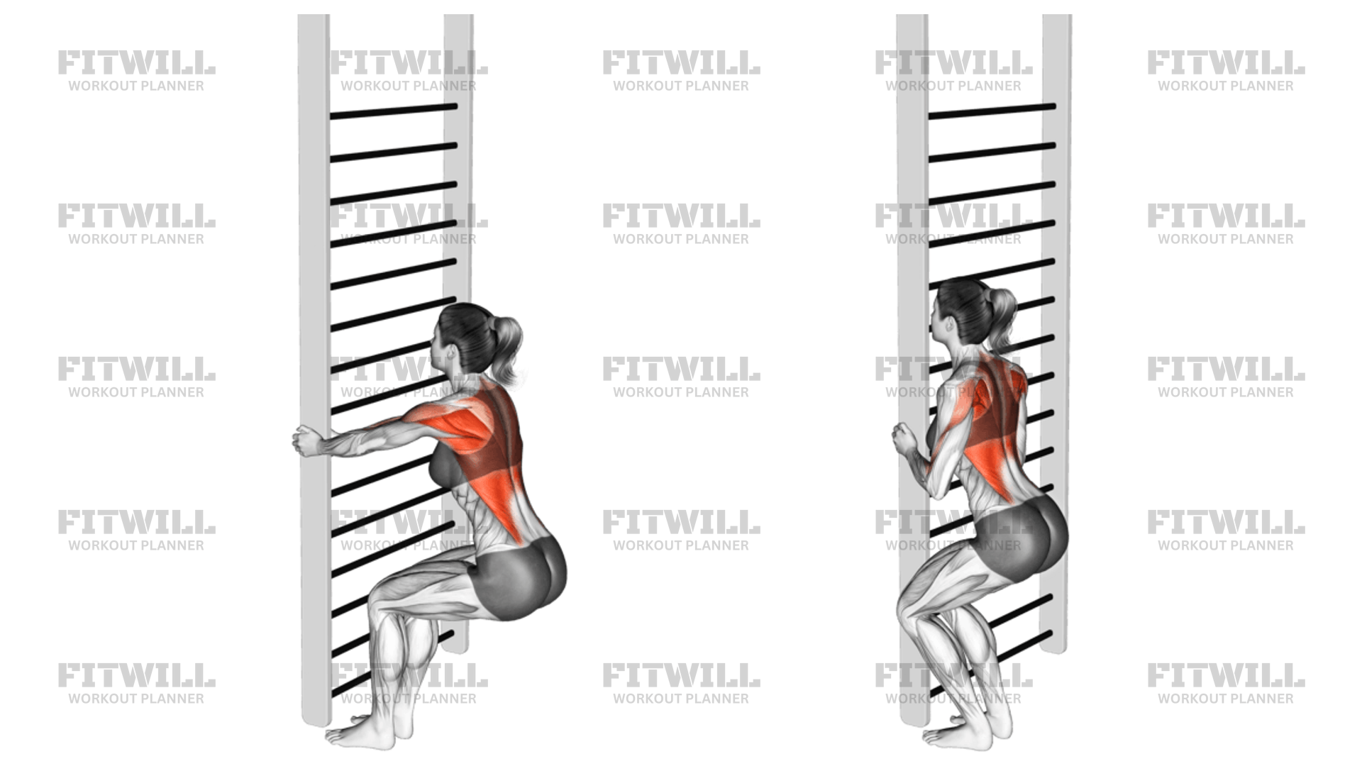 Bodyweight Squatting Row: Exercise Guide, Techniques, Benefits, How to ...