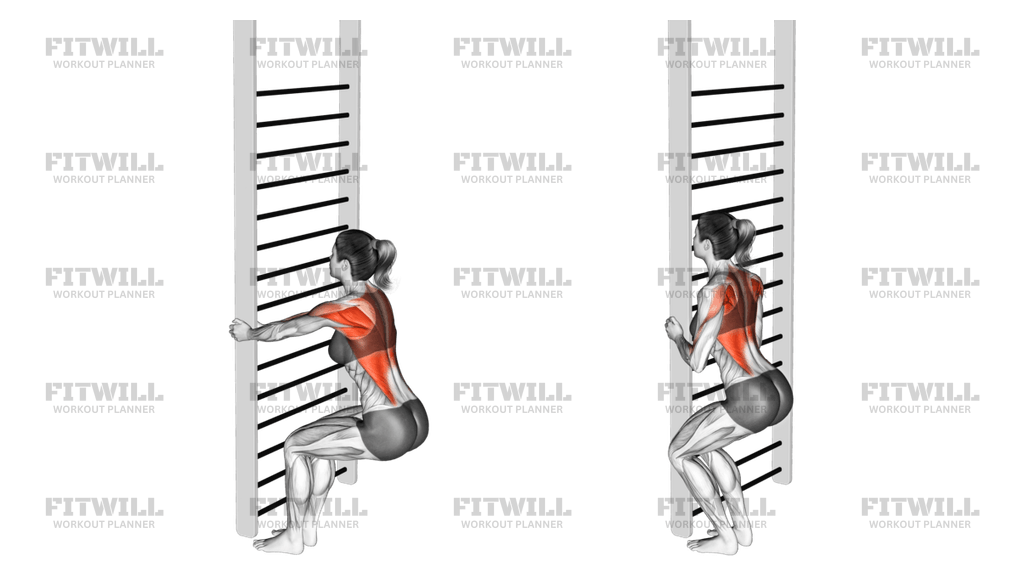 Bodyweight Squatting Row: Exercise Guide, Techniques, Benefits, How to ...
