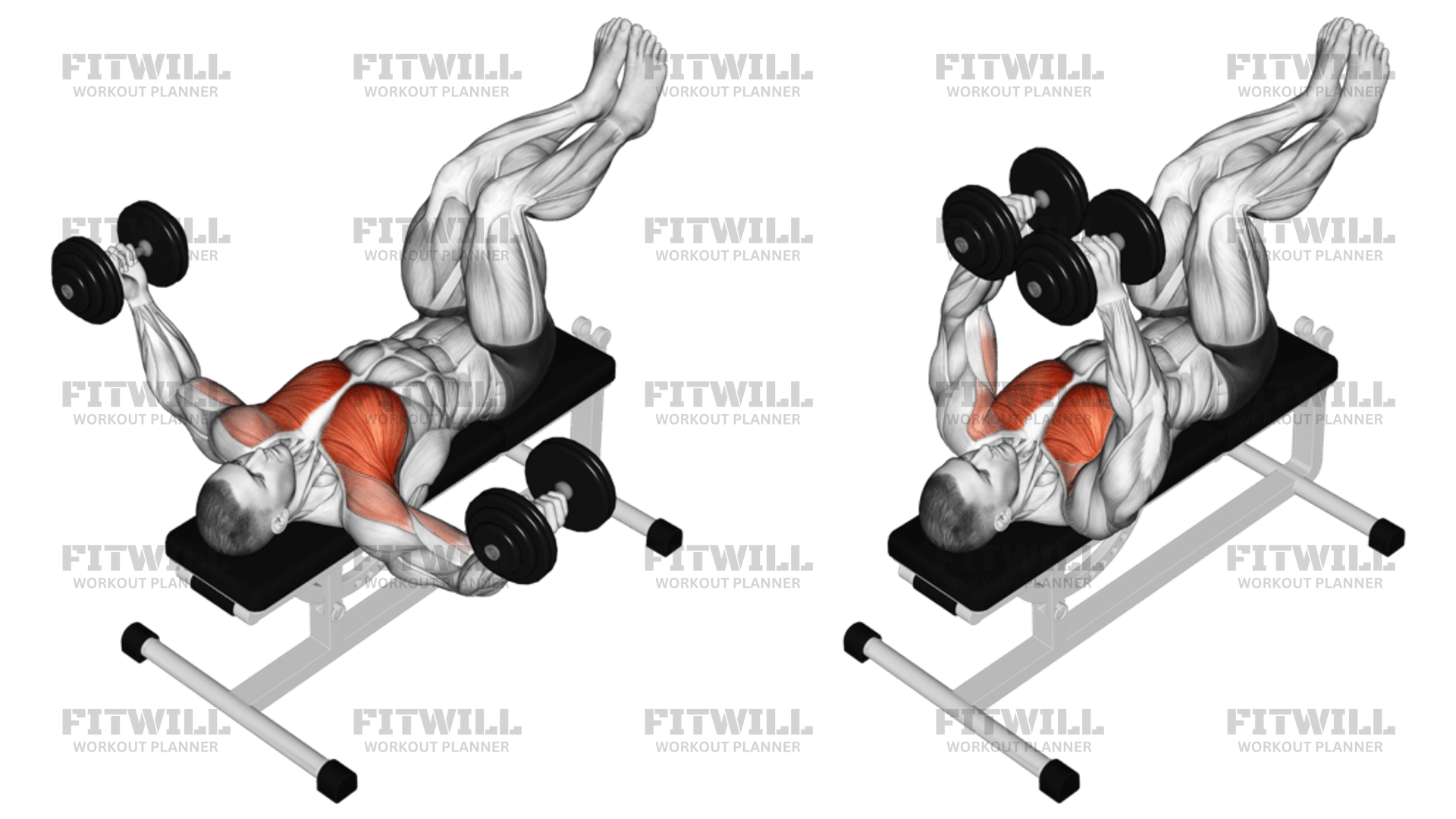 Dumbbell Fly (knees At 90 Degrees): Exercise Guide, Techniques ...