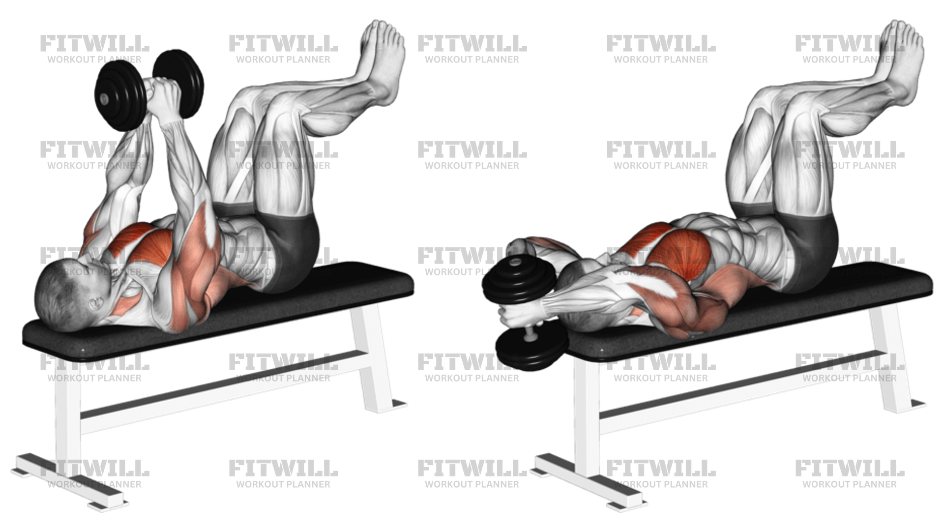 Dumbbell Straight Arm Pullover (knees At 90 Degrees): Exercise Guide ...