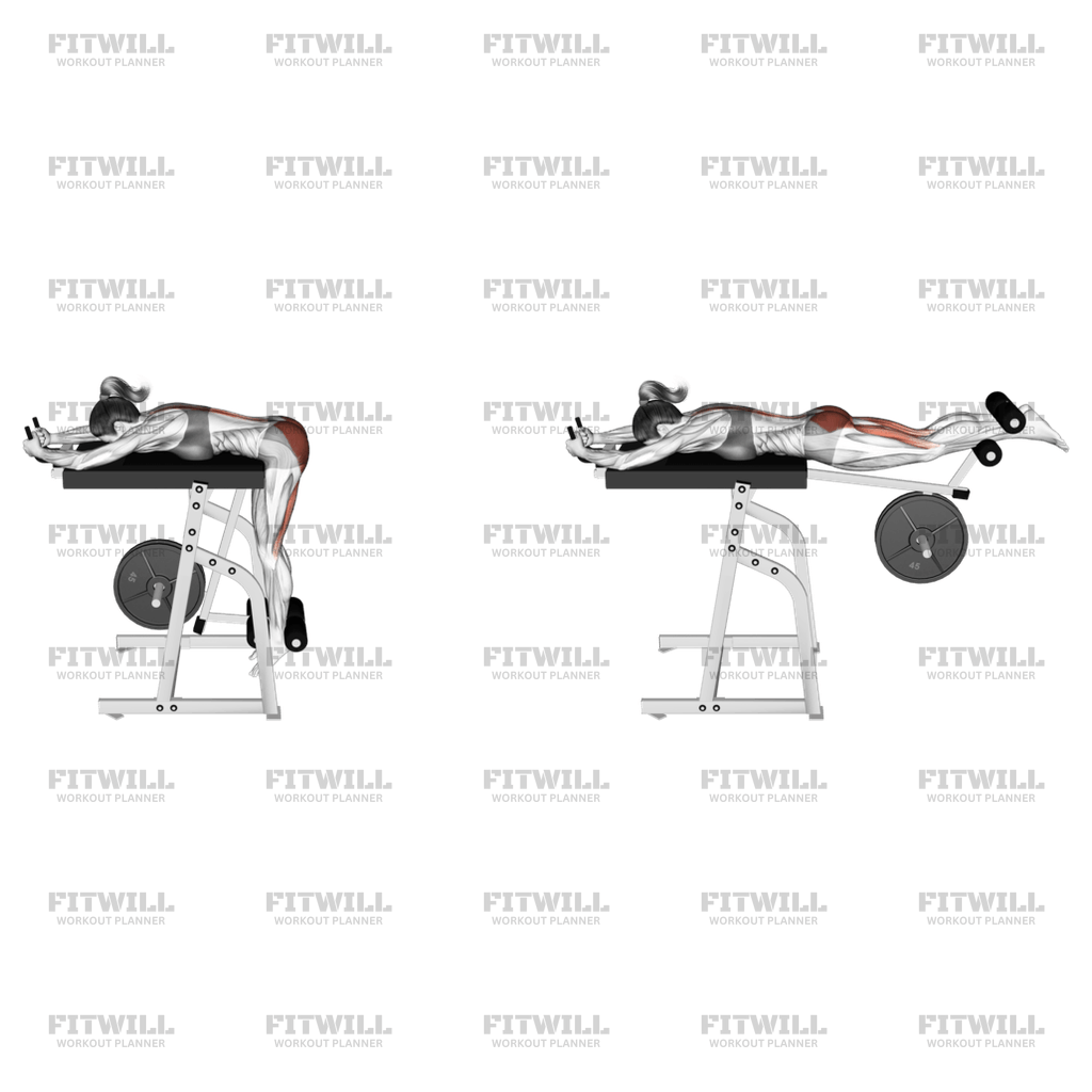 Lever Reverse Hyperextension (plate Loaded): Exercise Guide, Video ...