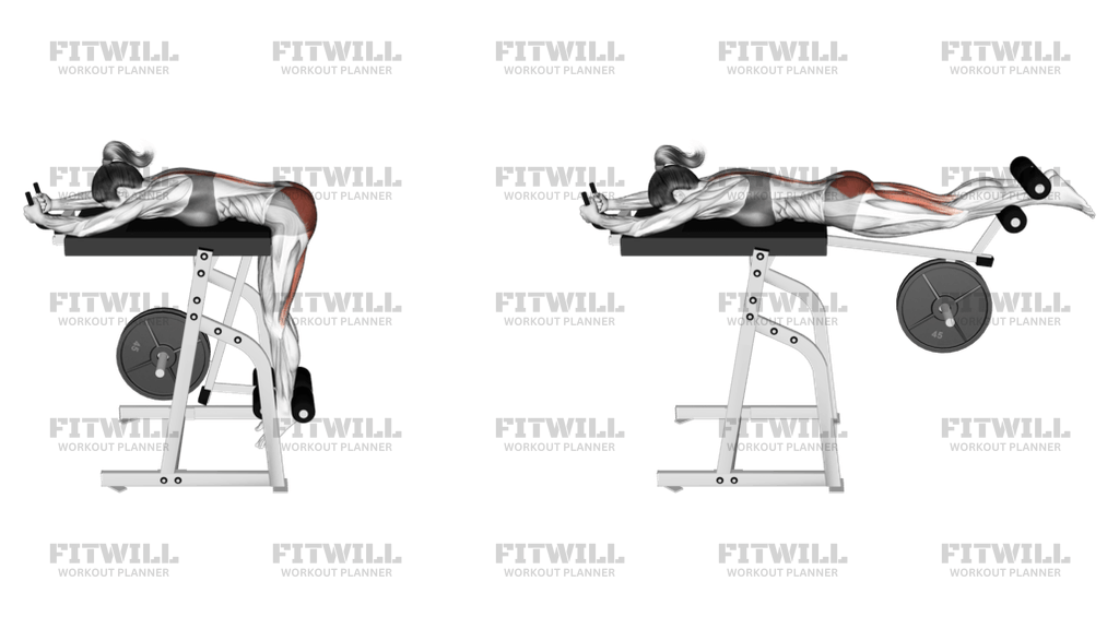 Lever Reverse Hyperextension (plate Loaded): Exercise Guide, Video ...