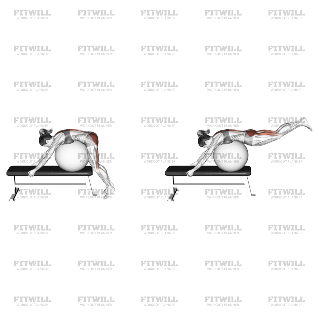 Stability Ball Reverse Hyperextension (off A Bench): Exercise Guide, Techniques, Benefits, How ...