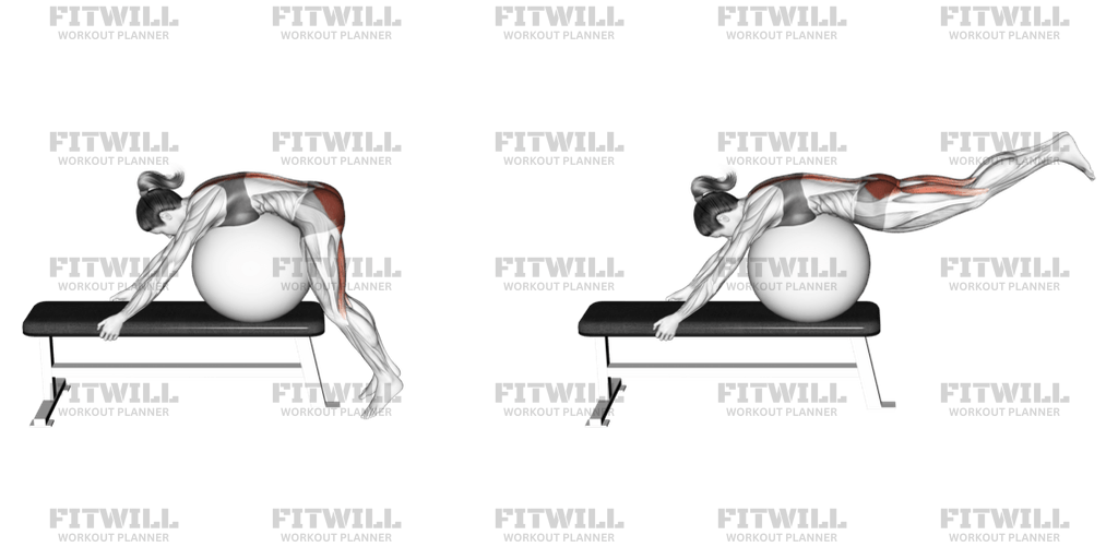 Stability Ball Reverse Hyperextension (off a bench) (female): Guide ...