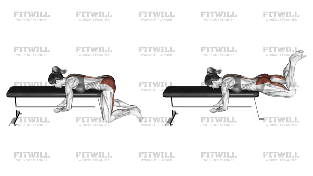 Frog Reverse Hyperextension (on A Bench): Exercise Guide, Video ...