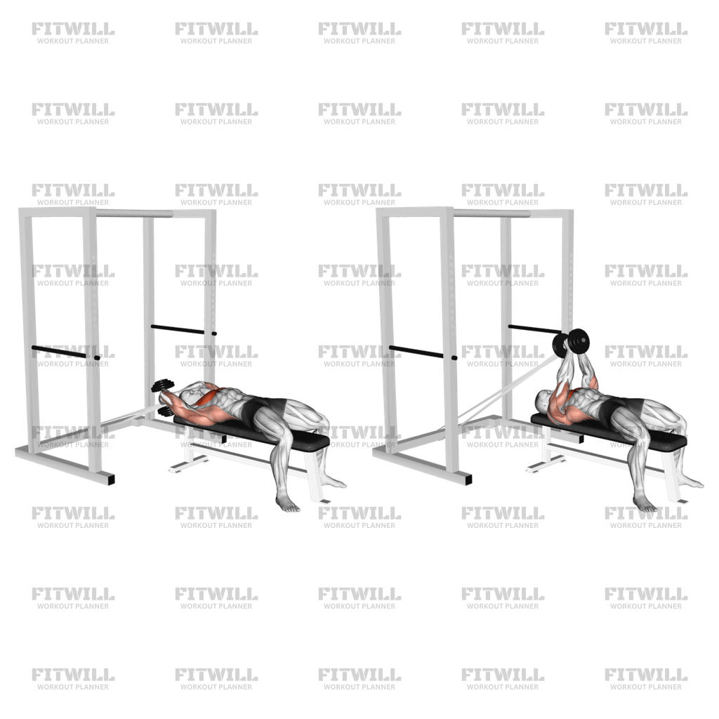 Dumbbell Straight Arm Pullover (with Hanging Band Technique): Exercise ...