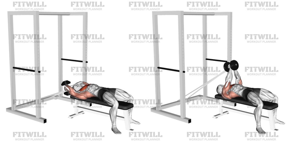 Dumbbell Straight Arm Pullover (with Hanging Band Technique): Exercise ...