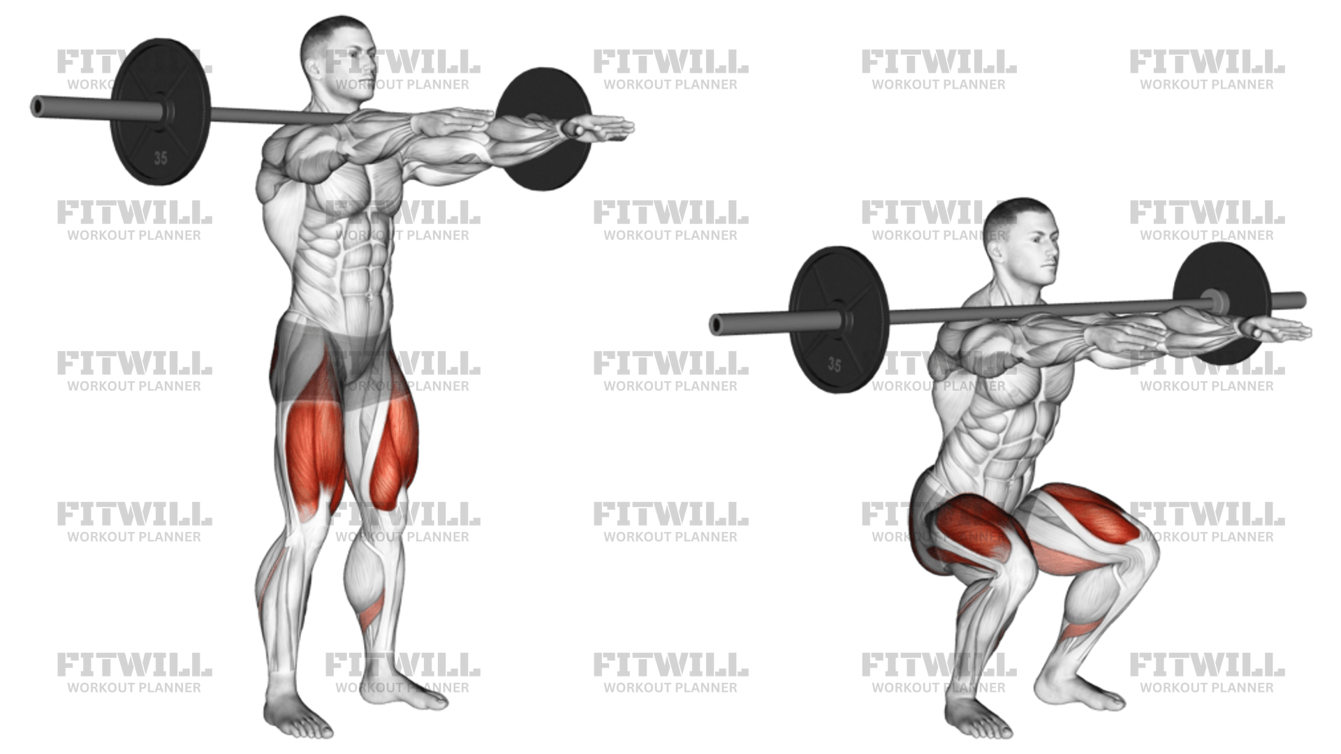 Frankenstein Squat: Exercise Guide, Techniques, Benefits, How to ...