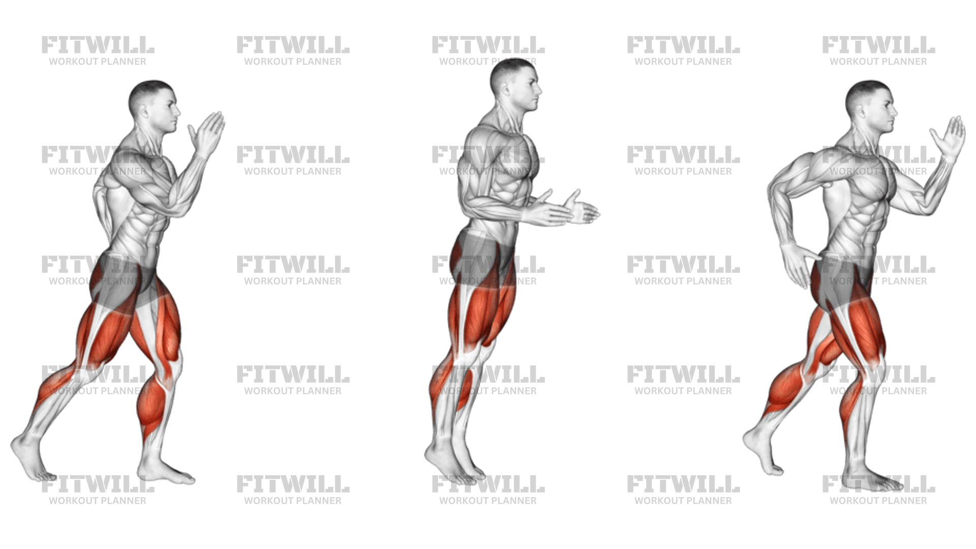 Prancing: Exercise Guide, Techniques, Benefits, How to, Muscles Worked ...