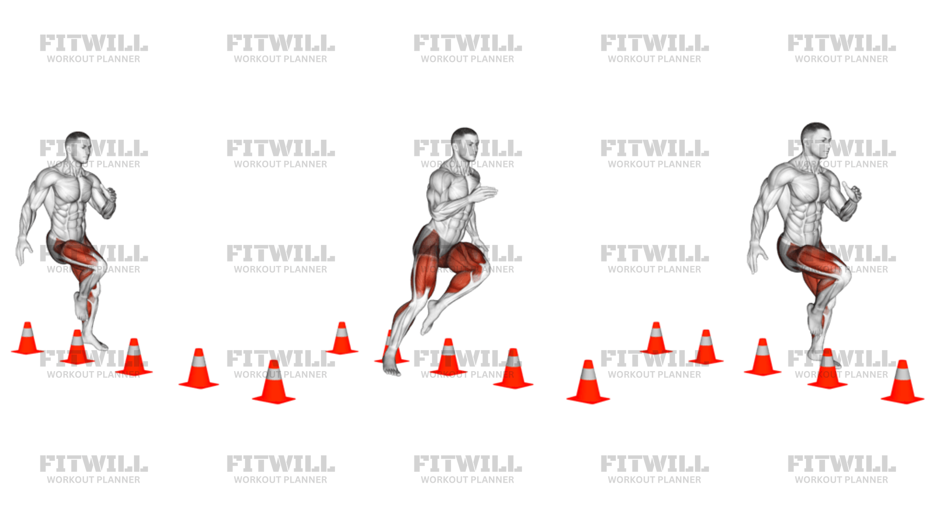 ZigZag Hopes: Exercise Guide, Techniques, Benefits, How to, Muscles ...