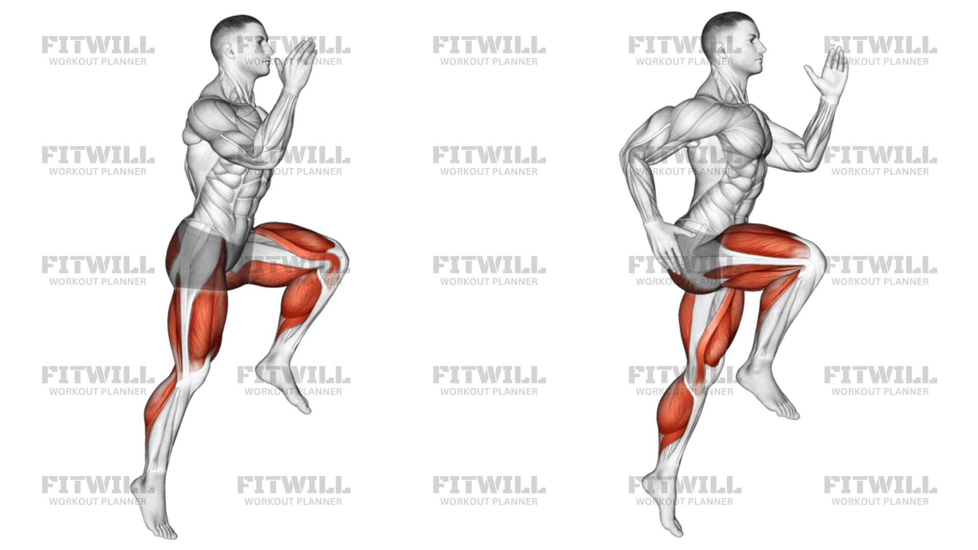 Skips: Exercise Guide, Techniques, Benefits, How to, Muscles Worked ...