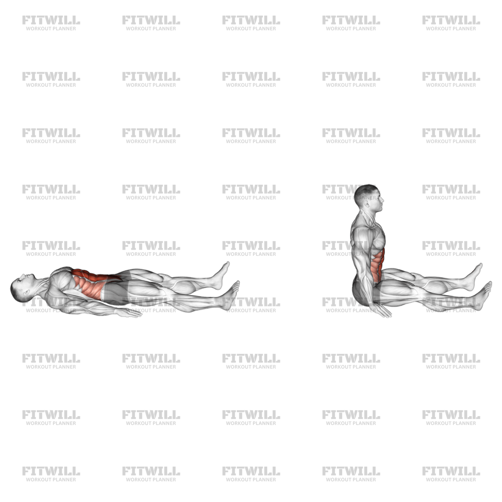 Half Sit-Up: Exercise Guide, Video, Techniques, Benefits, How to ...