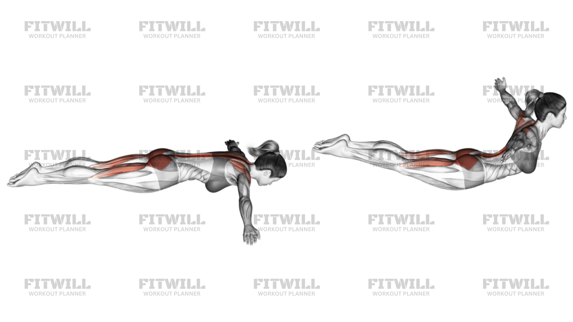 Floor T-Raise: Exercise Guide, Video, Techniques, Benefits, How to ...