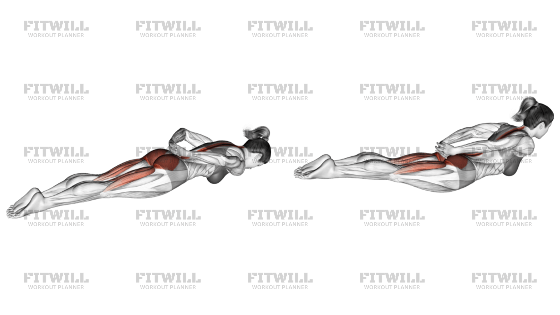 Prone Cobra Hands Interlocked: Exercise Guide, Techniques, Benefits ...