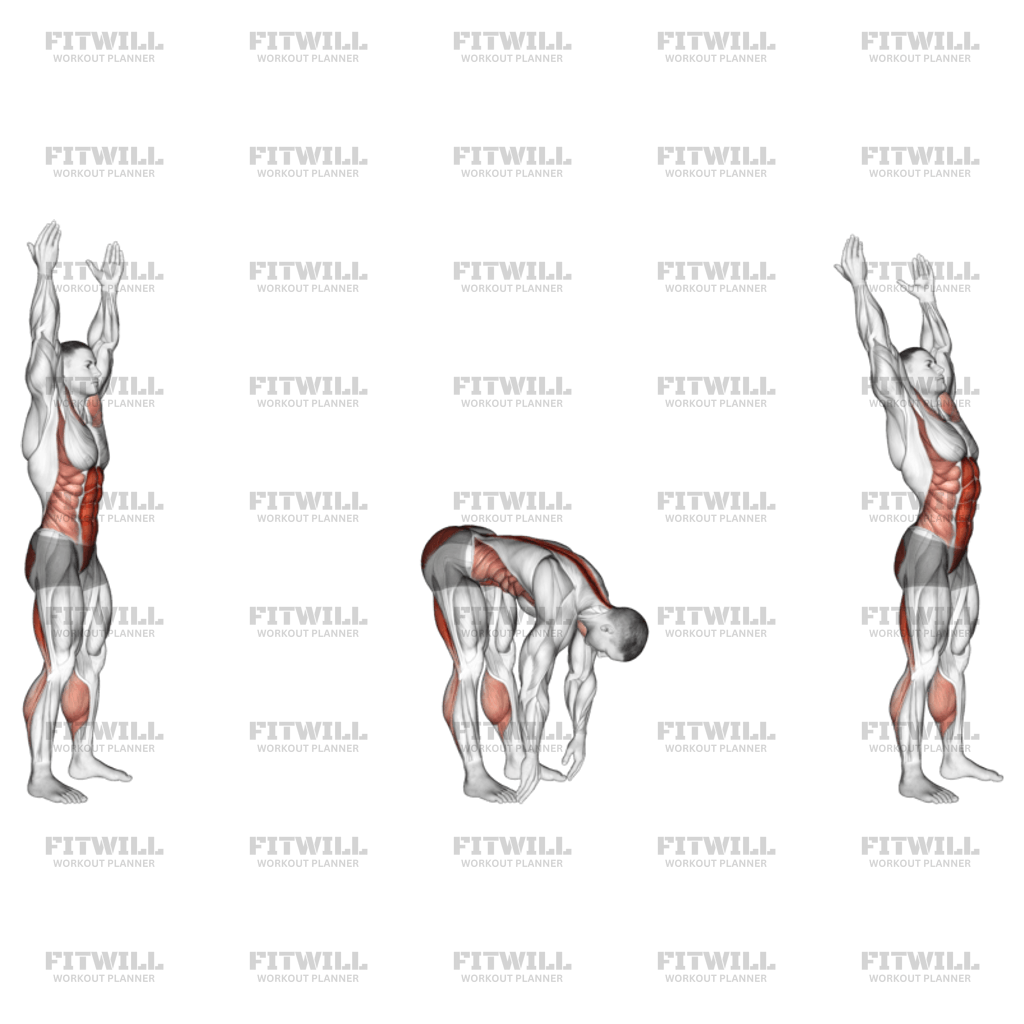 Basic Toe Touch: Exercise Guide, Video, Techniques, Benefits, How to ...