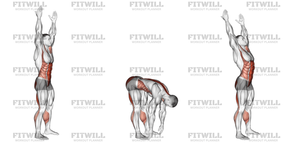 Basic Toe Touch: Exercise Guide, Video, Techniques, Benefits, How to ...