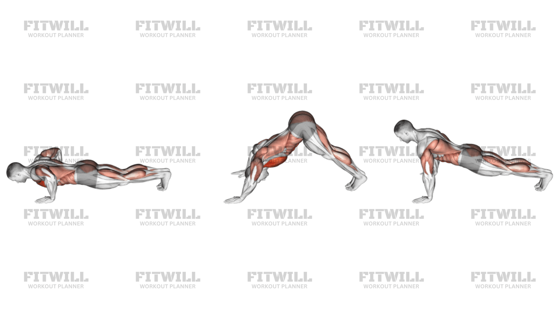 Modified Hindu Push-up: Exercise Guide, Video, Techniques, Benefits ...