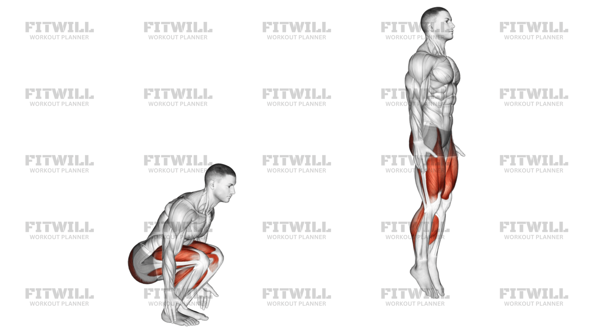 Semi Squat Jump: Exercise Guide, Video, Techniques, Benefits, How to ...