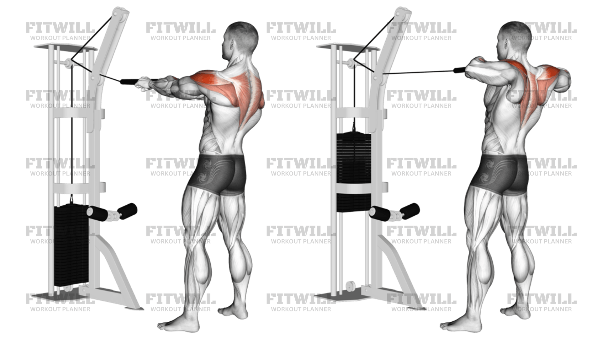 Cable Standing Rear Delt Horizontal Row (with Rope): Exercise Guide ...