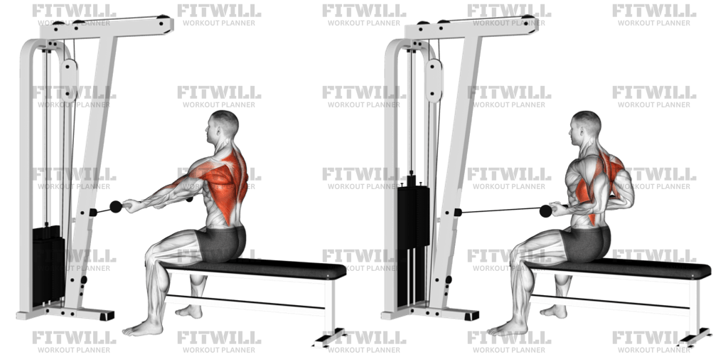 Cable Seated Supine-grip Row: Exercise Guide, Video, Techniques ...