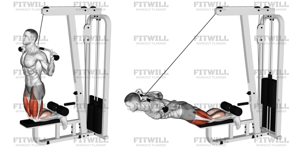 Cable Assisted Inverse Leg Curl: Exercise Guide, Video, Techniques ...