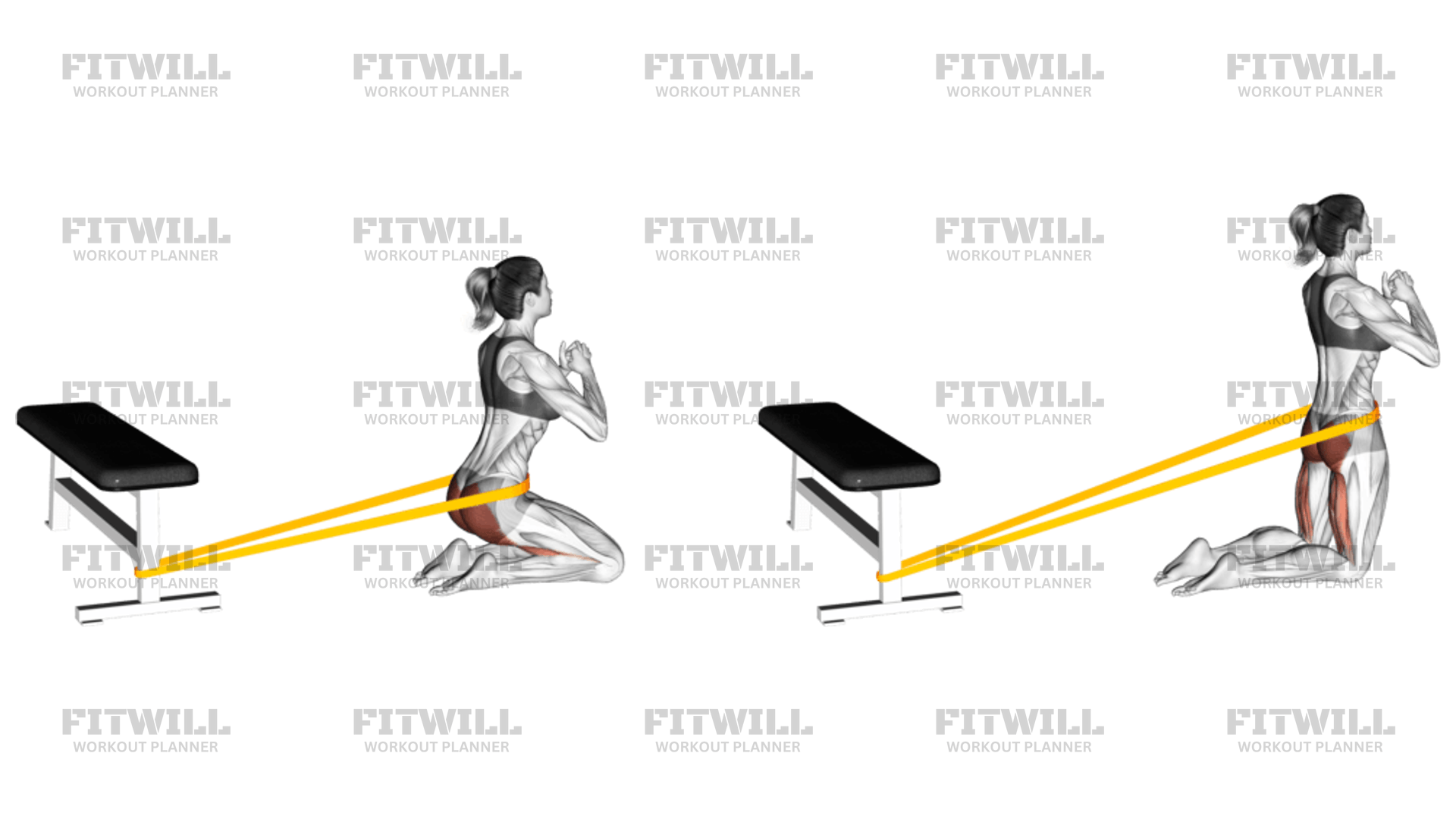 Empuje De Cadera Con Banda De Resistencia En Rodillas: Guía de ...