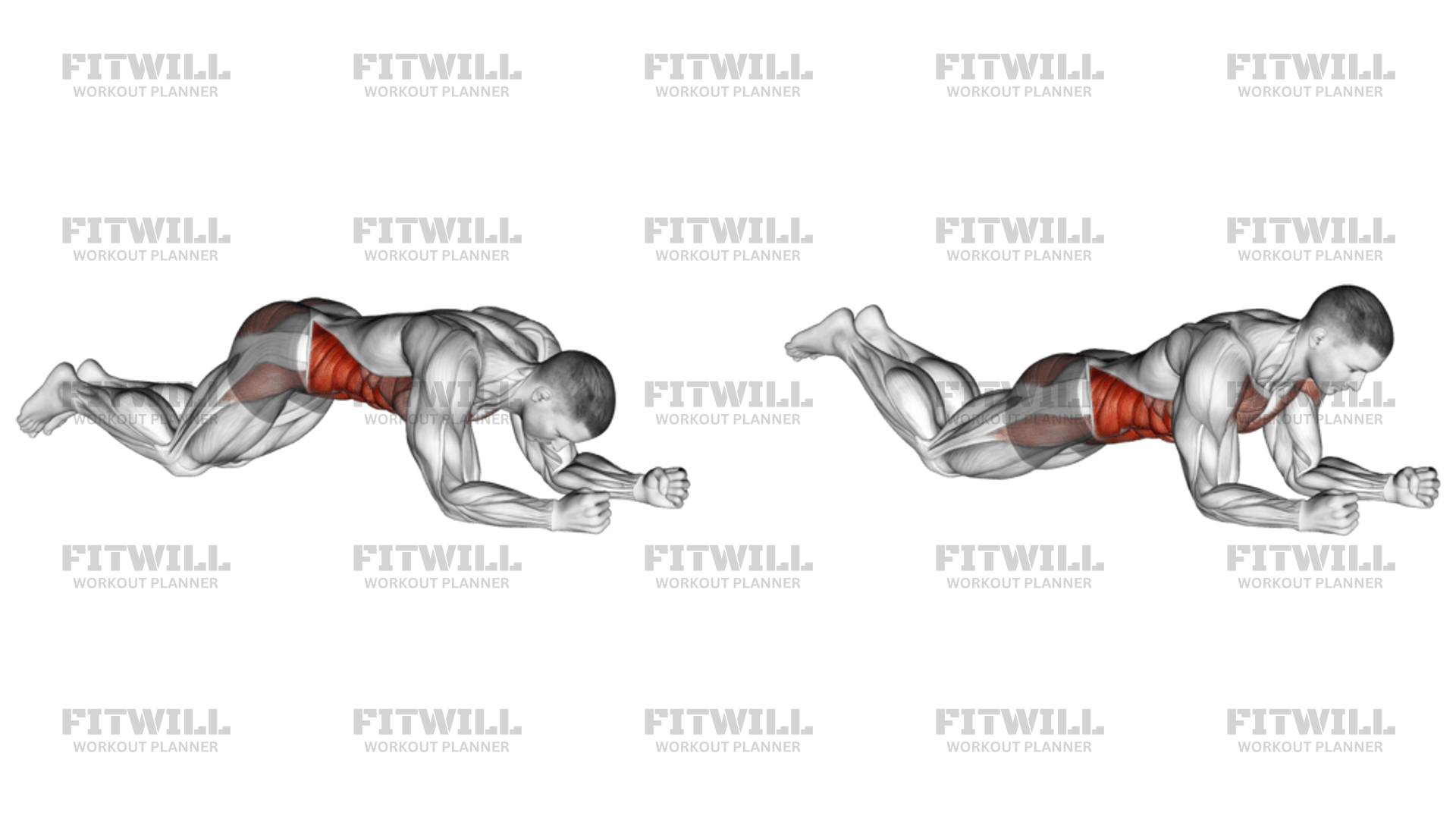 Kneeling Plank: Exercise Guide, Video, Techniques, Benefits, How to ...