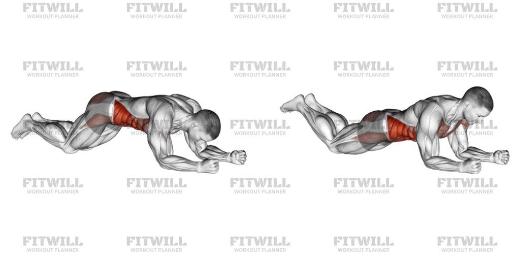 Kneeling Plank: Exercise Guide, Video, Techniques, Benefits, How to ...