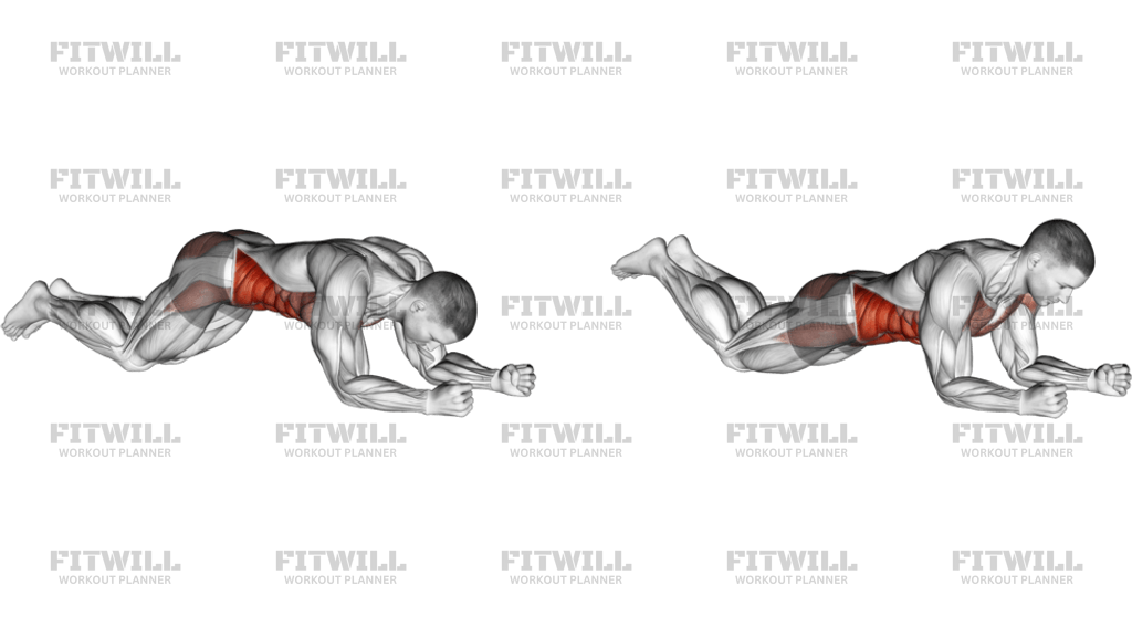 How to do Kneeling plank: Techniques, Benefits, Tips & Tricks | Fitwill