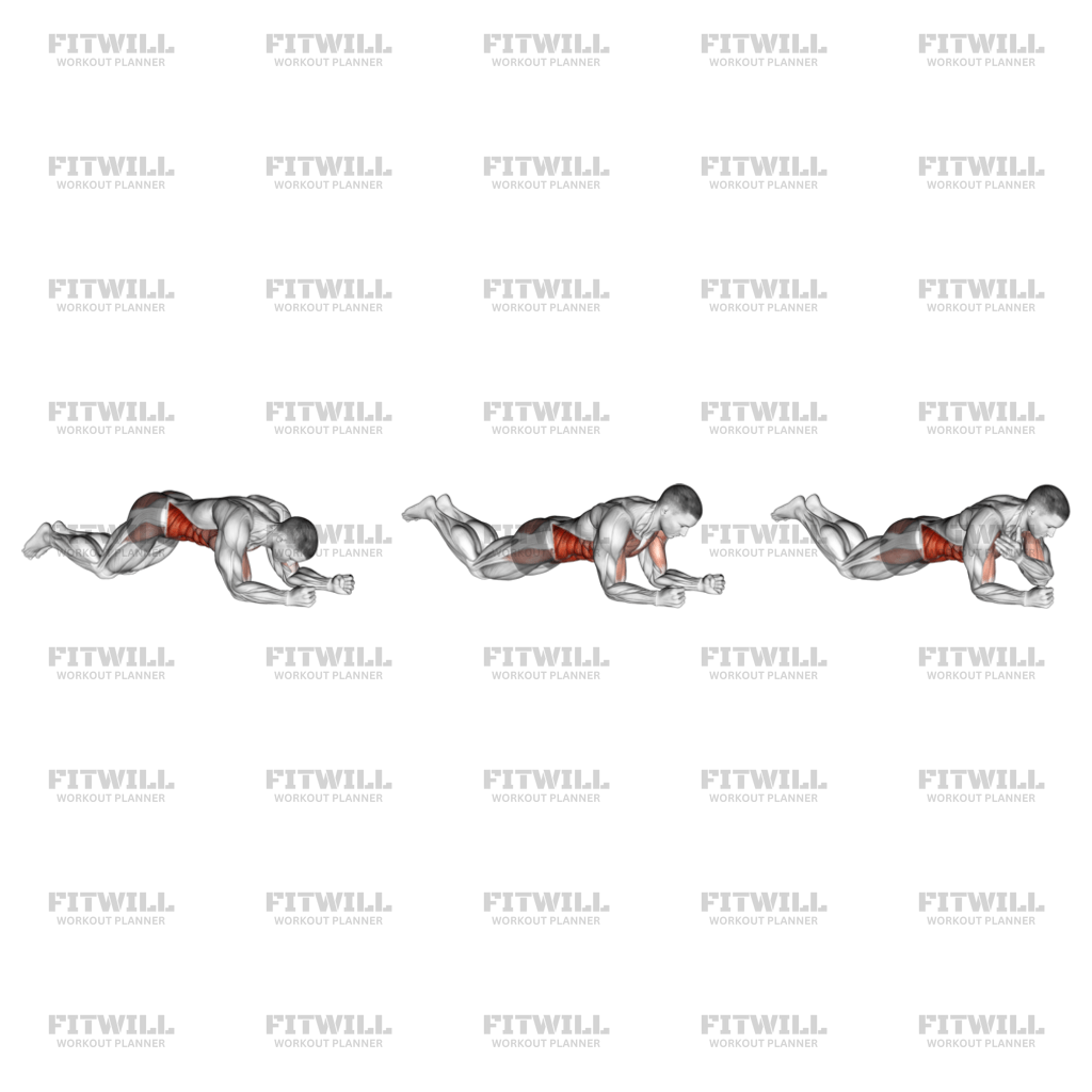 Kneeling Plank Tap Shoulder: Exercise Guide, Techniques, Benefits, How ...