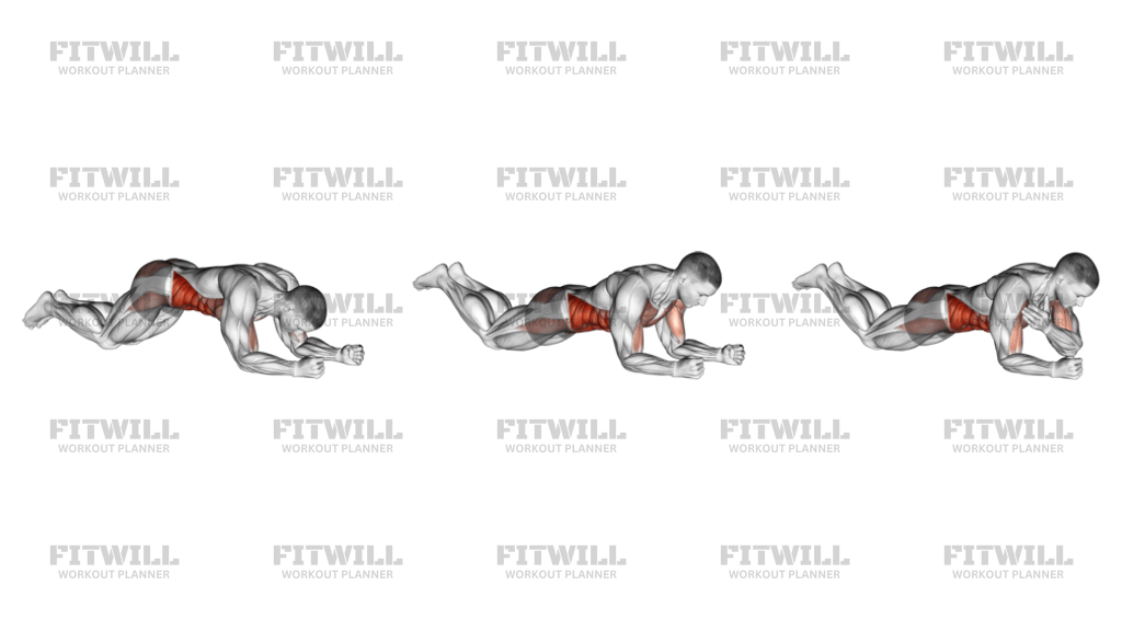 How to do Kneeling Plank Tap Shoulder: Techniques, Benefits, Tips ...