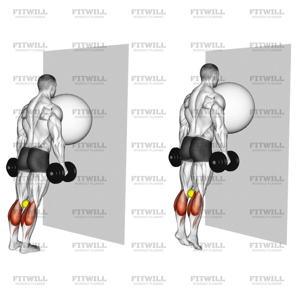 Exercise Ball On The Wall Calf Raise (tennis Ball Between Knees ...