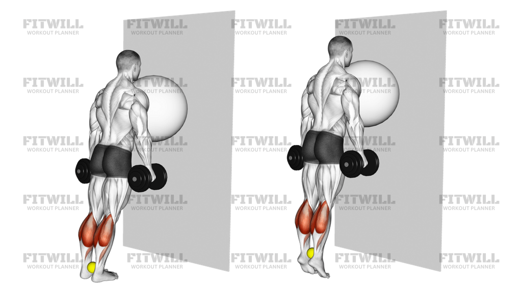 Exercise Ball On The Wall Calf Raise (tennis Ball Between Ankles ...