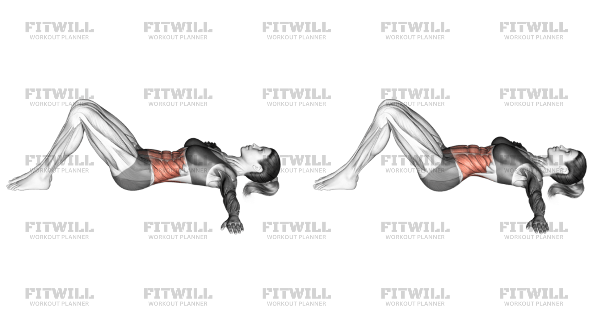 Lying Lower Back Stretch (bent Knee): Exercise Guide, Video, Techniques ...