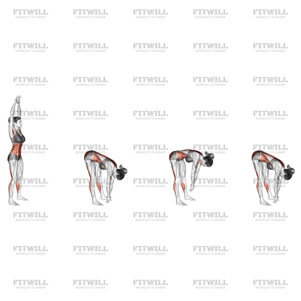 Two Front Toe Touching: Exercise Guide, Video, Techniques, Benefits ...