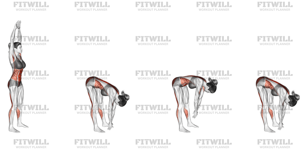 Two Front Toe Touching: Exercise Guide, Video, Techniques, Benefits ...